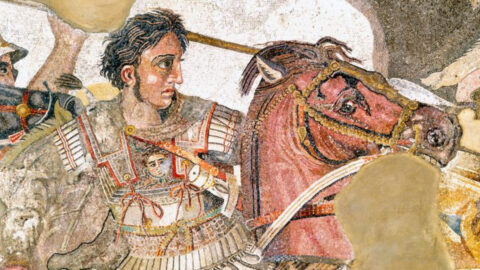 13 Wild Animals That Became Legends—And the Stories Behind Them ...