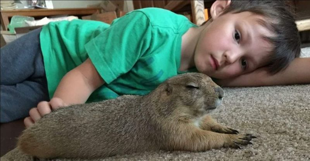 15 Wild Pets That Were Legal in the U.S.—Until Very Recently ...