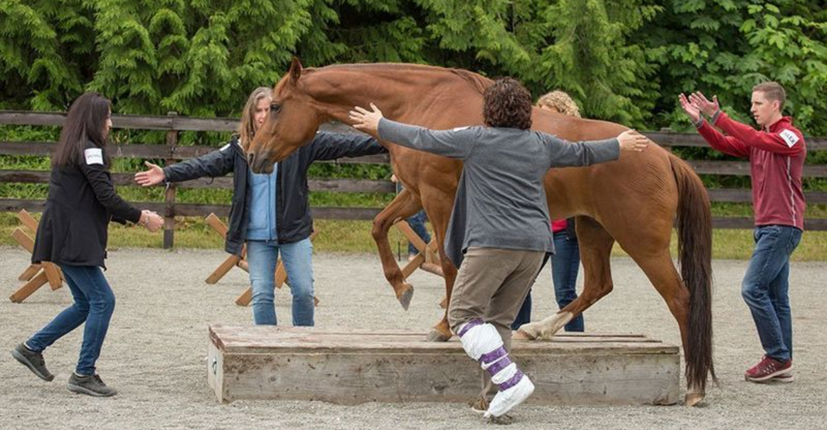 17 Surprising Jobs Horses Still Do in Modern America - Exploring Animals