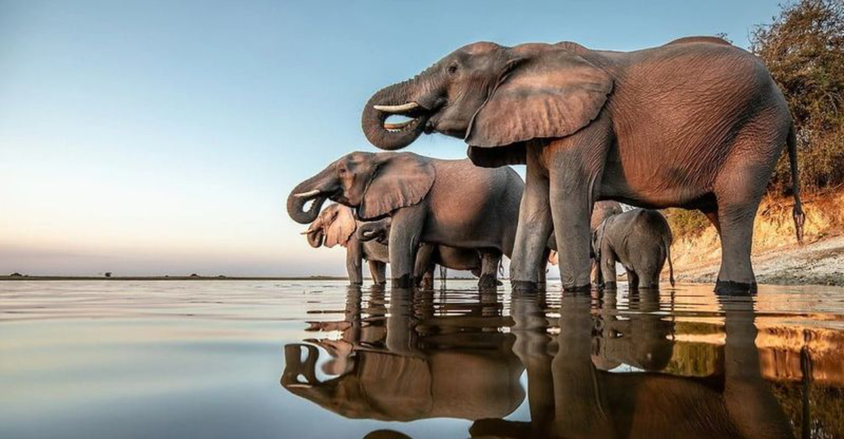 18 Jaw-Dropping Wildlife Photography Hotspots Every Nature Lover Must ...