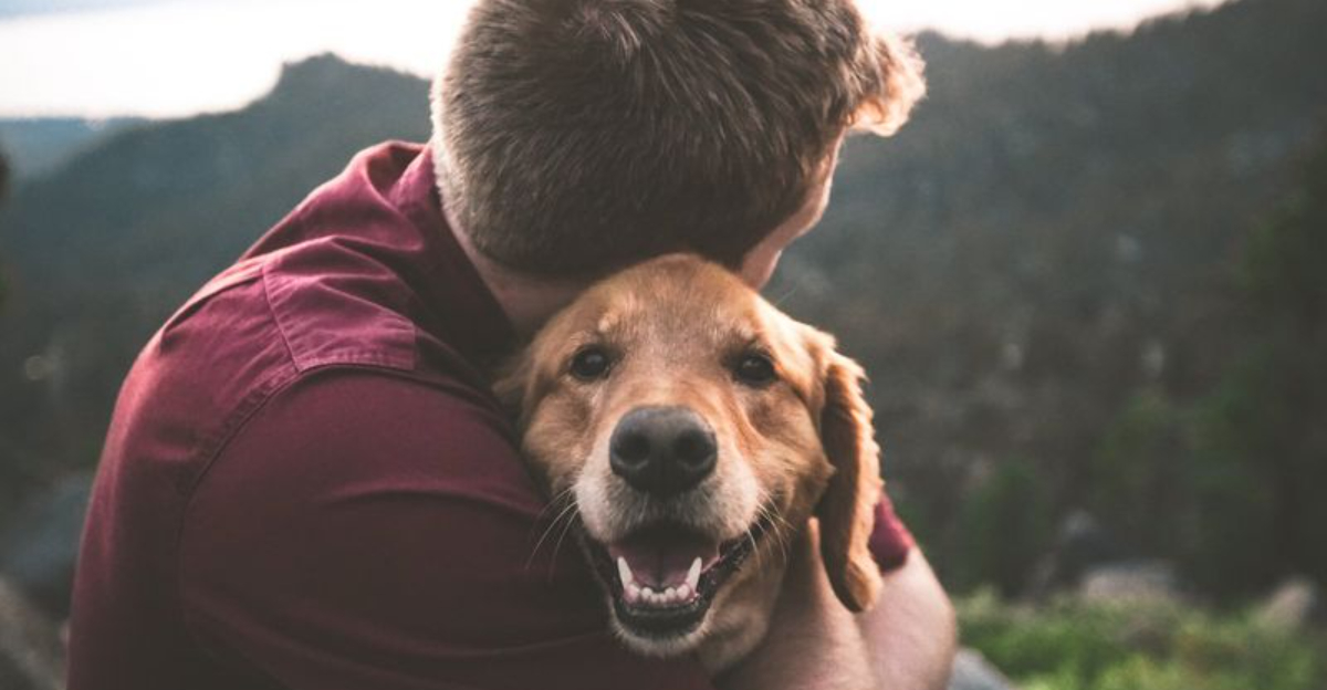 20 Ways Dogs Naturally Help With Anxiety and Depression - Exploring Animals