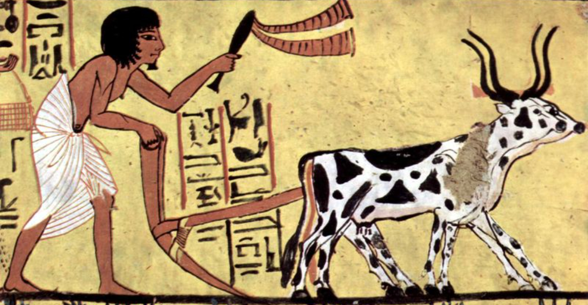 21 Animals That Changed the Course of Human History - Exploring Animals