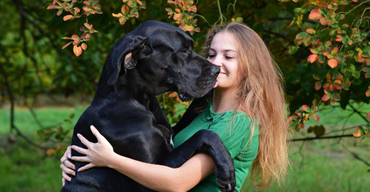 25 Dog Breeds So Cool They’ll Steal Your Heart Instantly—And What Makes ...