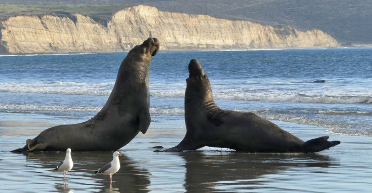 9 Forgotten Giants: Ancient Animals That Still Roam the Earth ...