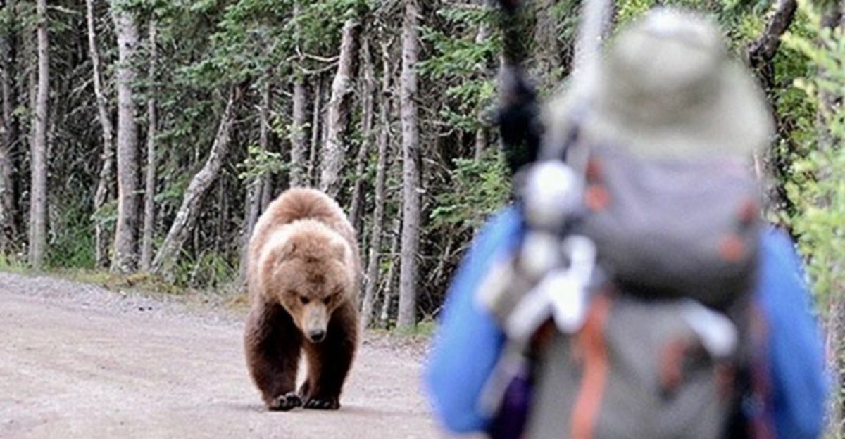 Fear Makes You a Target for These 9 Animals—But 6 Use It in Surprising ...