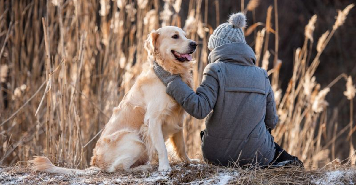 From Stress Relief to Heart Health: 10 Benefits of Having a Pet ...