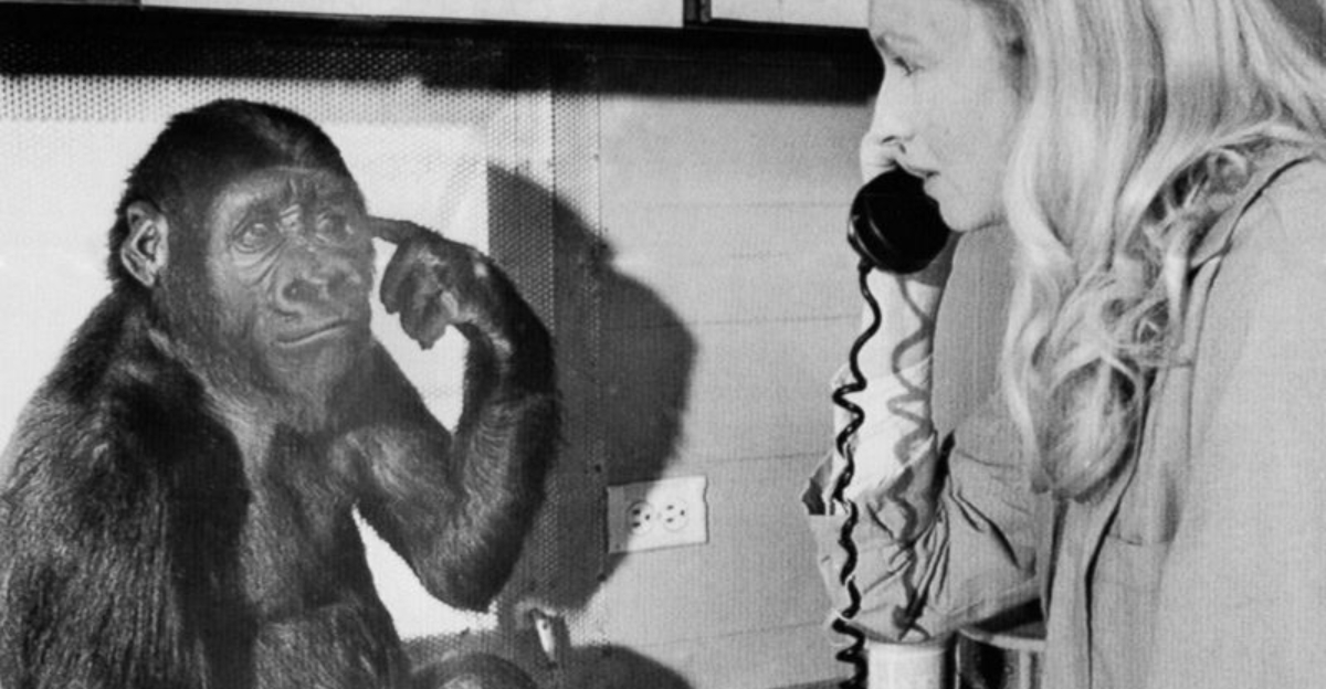 The 33 Most Famous Animals of All Time Ranked from Legendary to Iconic ...